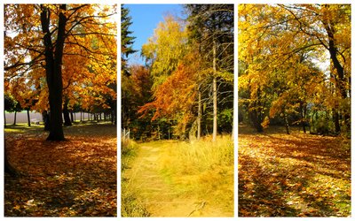 HERBSTGEDICHTE …, Herbsttag, Rainer Maria Rilke | Gabryon's Blog